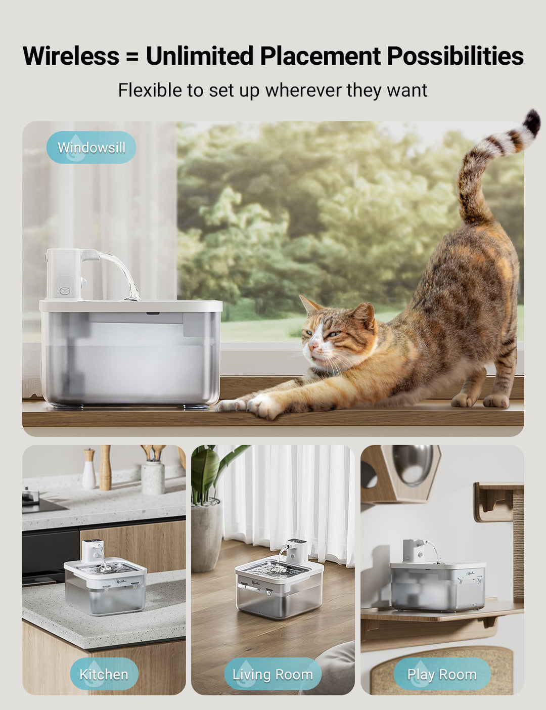 Cozy living with pets. - DownyPaws